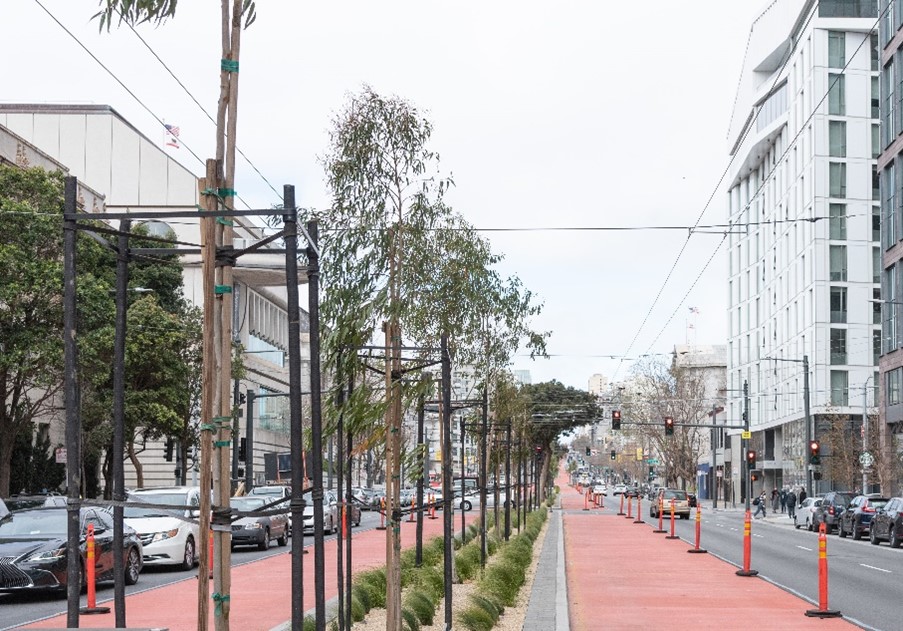 Two-Item Tuesday: Sunset Dunes Lawsuit Tossed - Streetsblog San Francisco